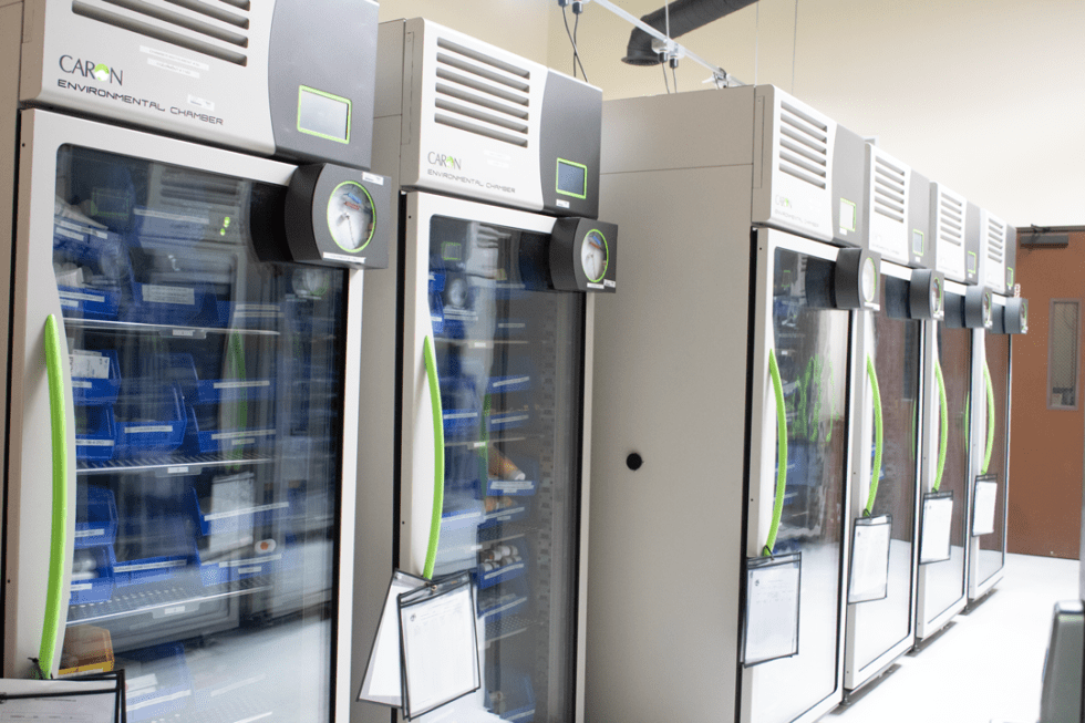 Over-the-Counter (OTC) Testing Services | Certified Laboratories