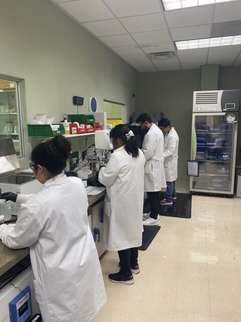 Stability Testing for Cosmetics, Personal Care Products & Supplements ...