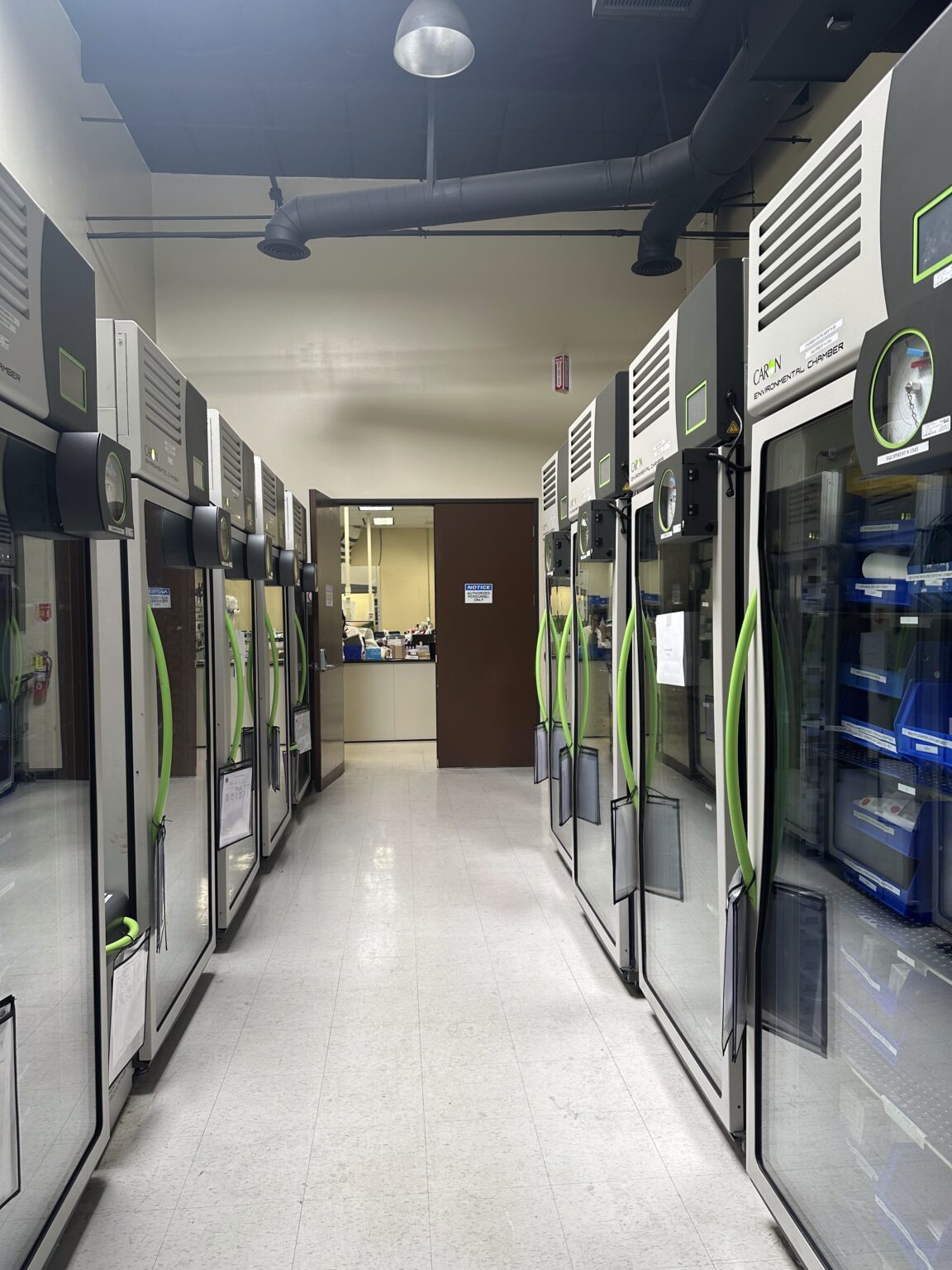 Health Canada’s NHP GMPs 4.0: Stability Testing FAQs